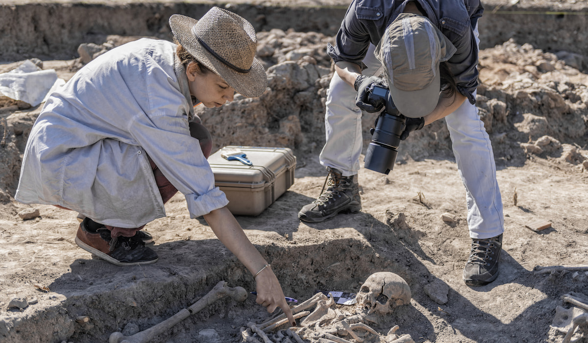 What Is an Archaeological Technician? - The Archaeological Box