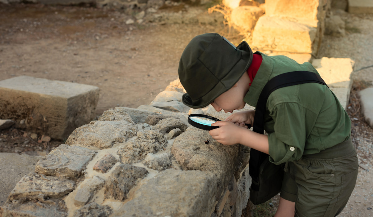 What Is an Archaeological Technician? - The Archaeological Box