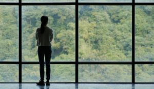 History of Window Glass in America Explained - The Archaeological Box