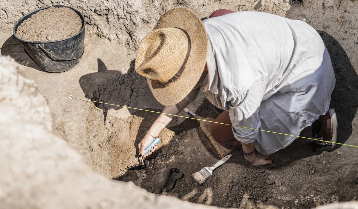 9 Fun Facts About Archaeologists - The Archaeological Box