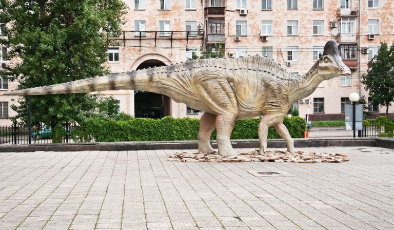 Types of Duck-Billed Dinosaurs - The Archaeological Box