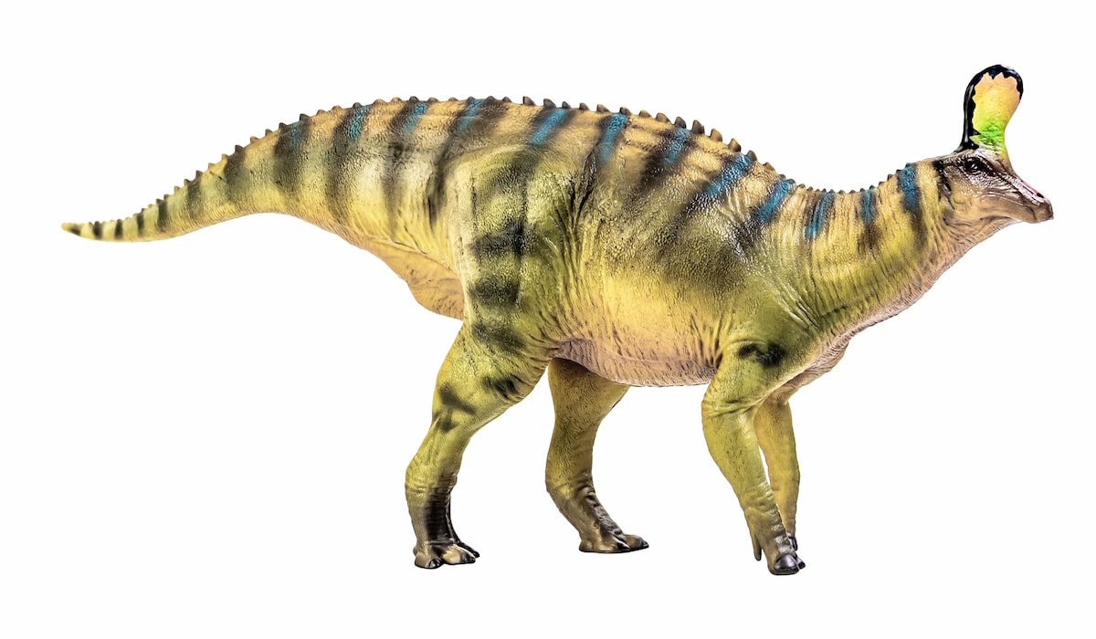 Types of Duck-Billed Dinosaurs - The Archaeological Box